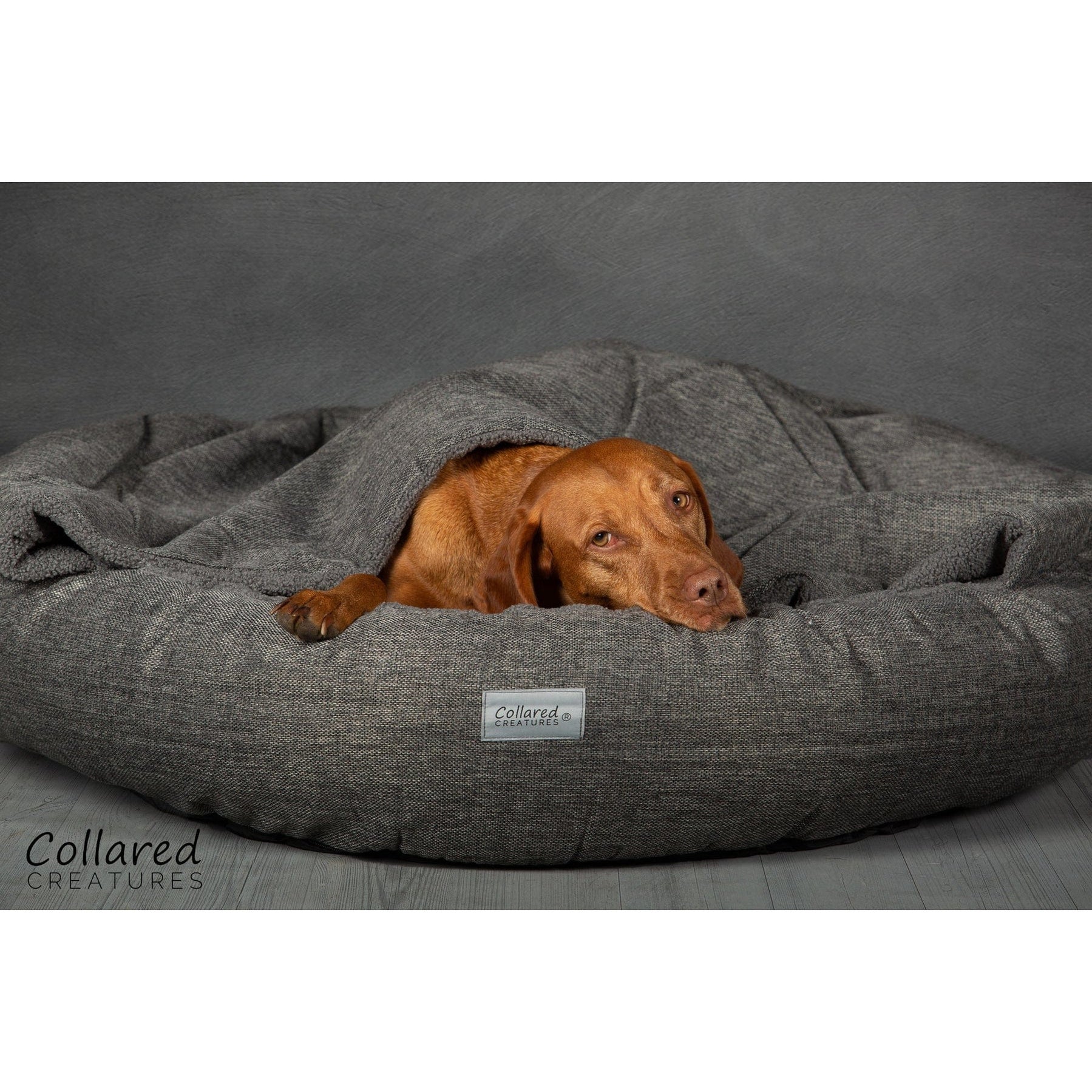 Collared Creatures - Luxury Grey Cocoon Cushion Round Dog Bed — Pet ...