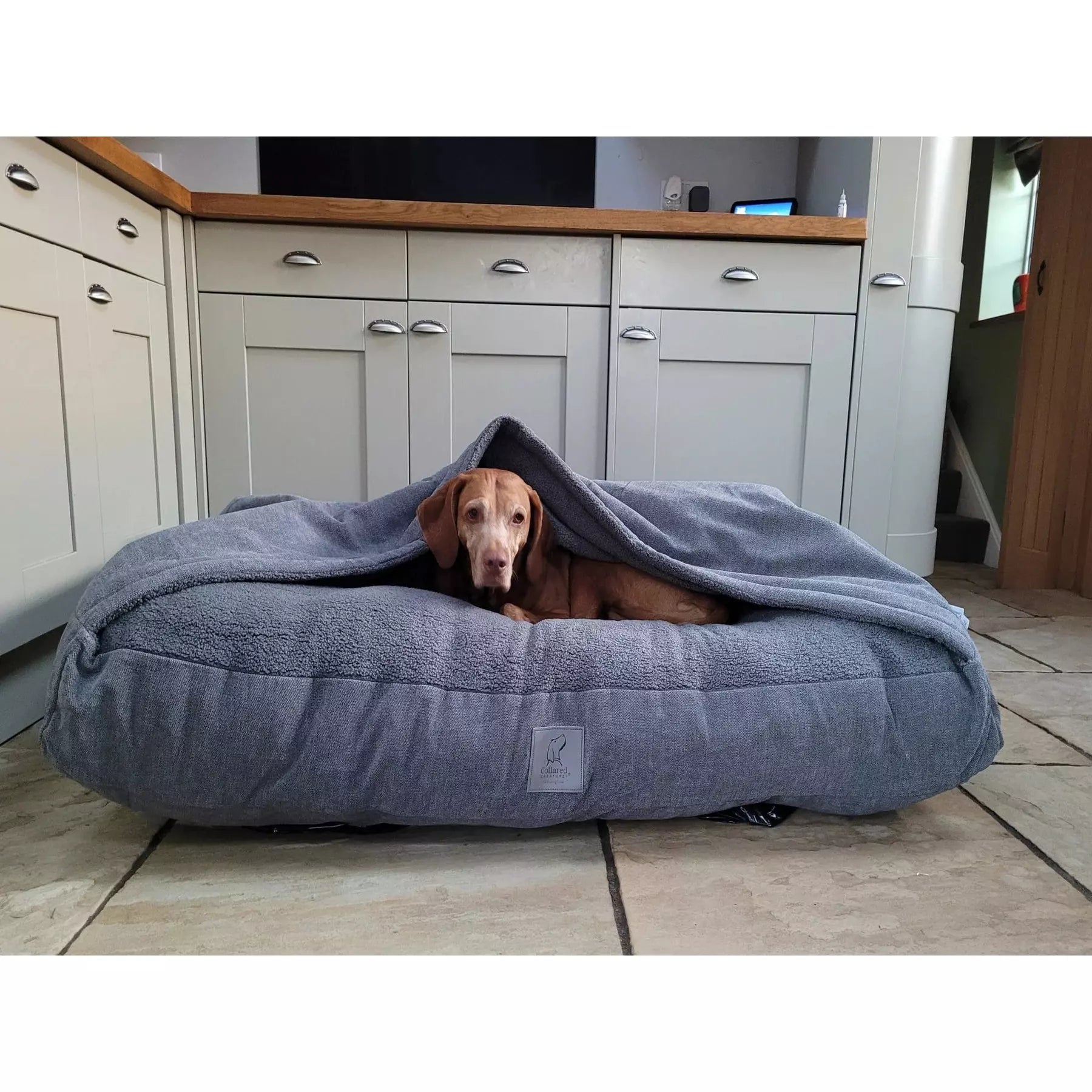Dog Beds