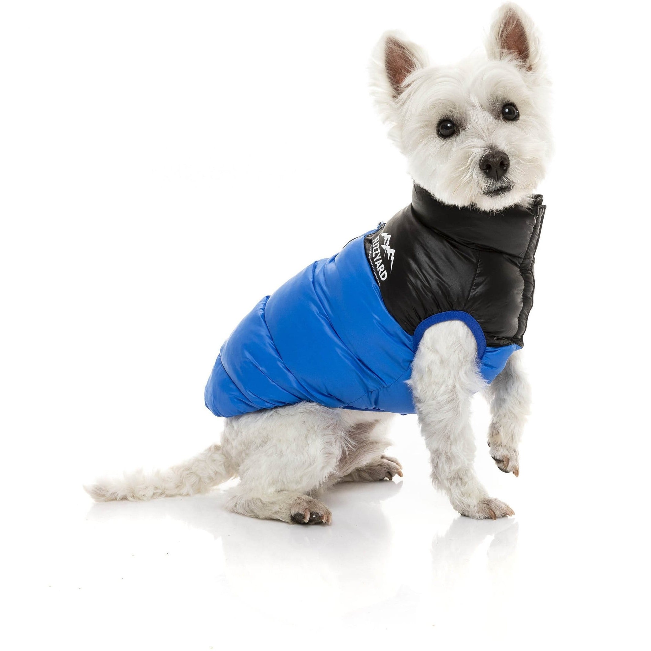 Harlem Puffer Jacket - Blue — Pet Prestige UK