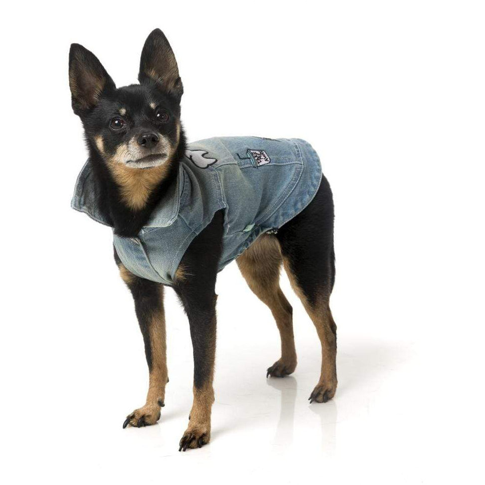 The Rocker Denim Jacket — Pet Prestige UK